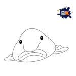 How to Draw a Blobfish: Step by Step Guide
