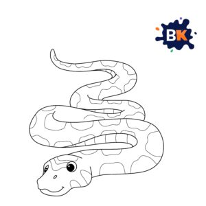 How to Draw a Boa: Step-by-Step Guide