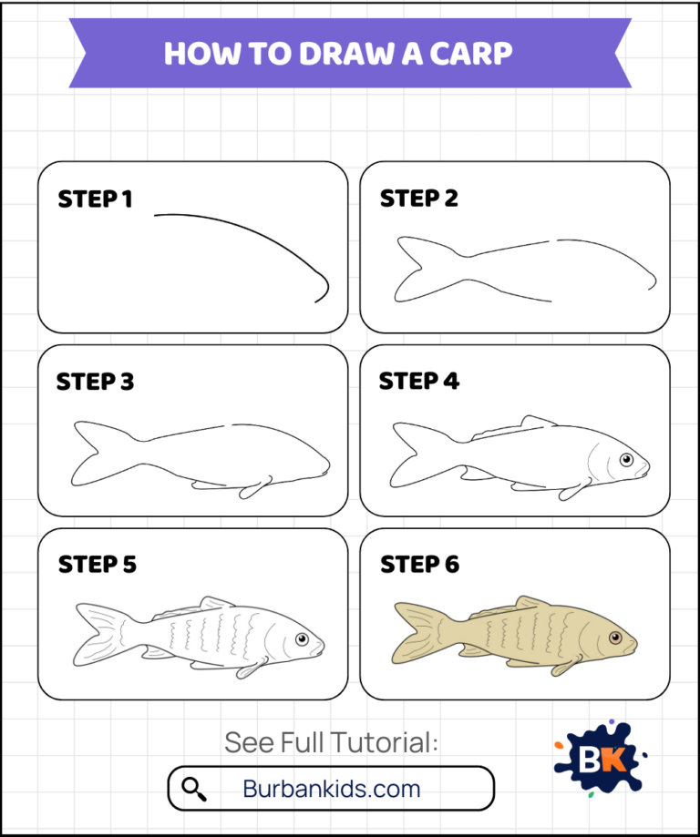 How to Draw a Carp In Few Easy Steps!